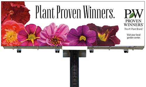 National Advertising Campaign | Proven Winners